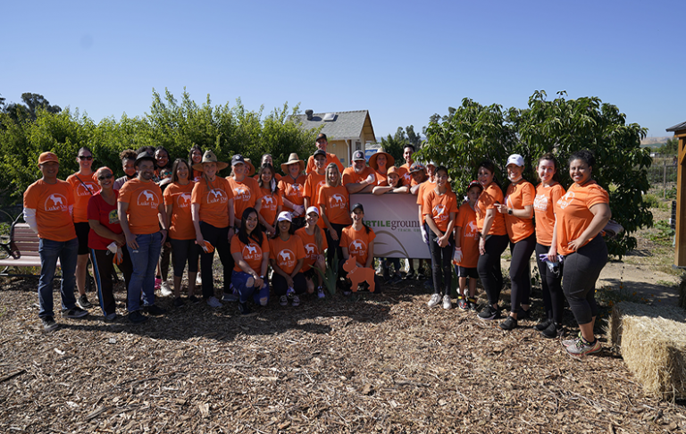 Luke Day – NextHome